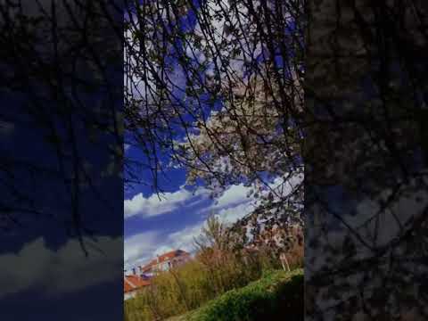 #whatsapp , #instagram #paylaşım