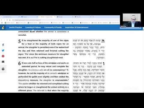 Rambam: Laws of Slaughter