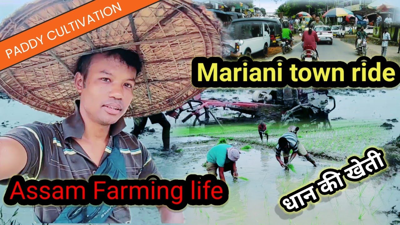 Assam Farming Life vlog // Hindi / Mariani Motovlog / @PC03 - YouTube