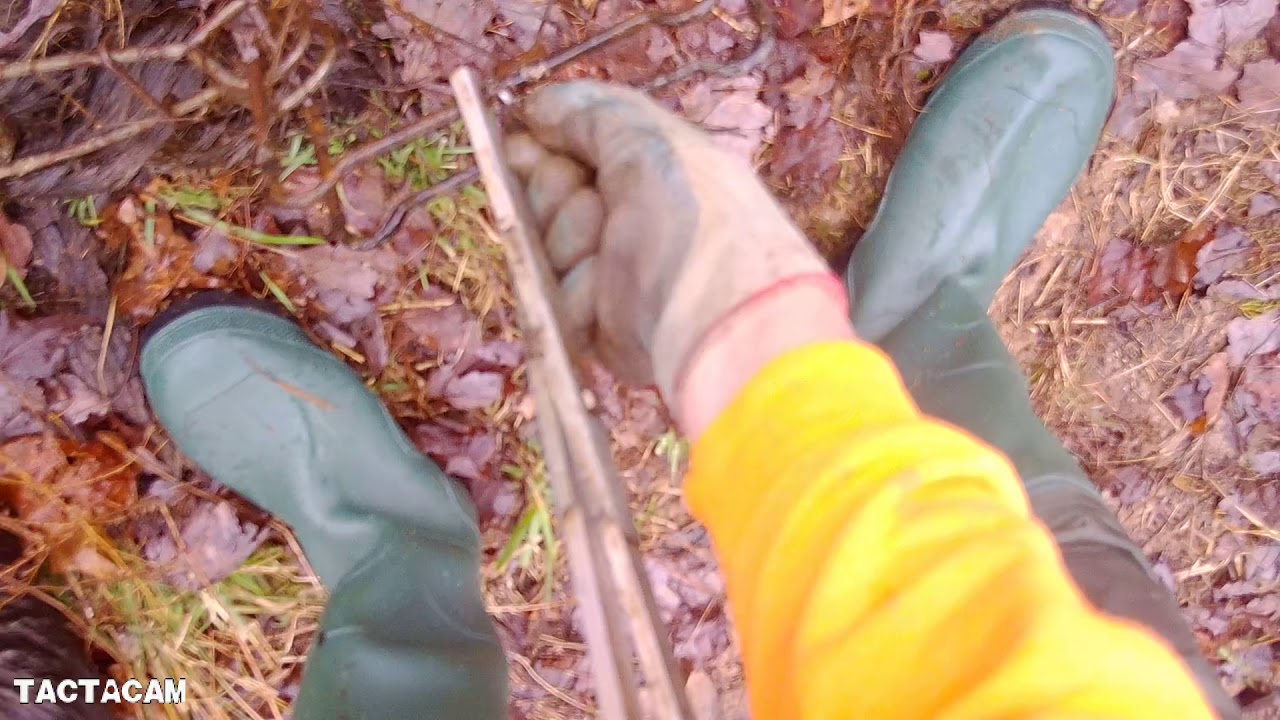 Beaver in a 280 conibear with a reset - YouTube