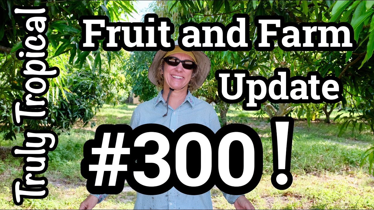 Truly Tropical Fruit and Farm Update- Our 300th Video! - YouTube