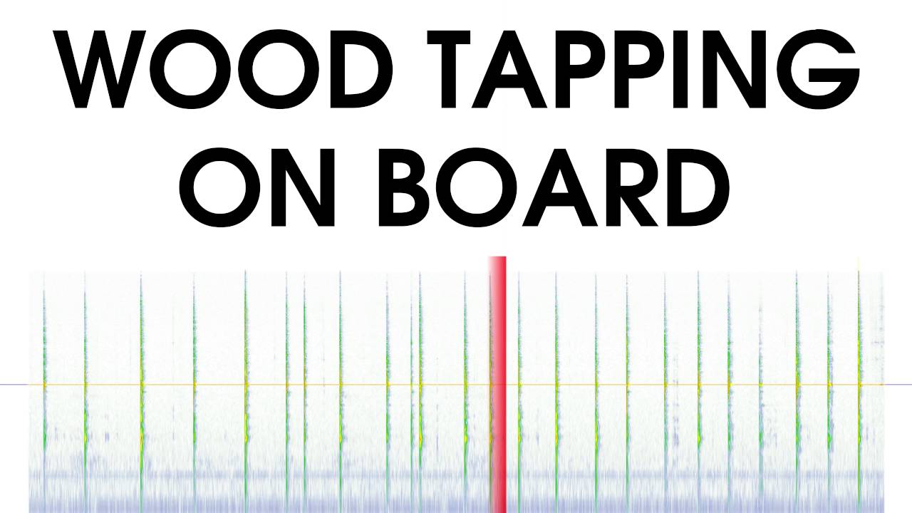 Wood Tapping On Board Sound Effect - YouTube