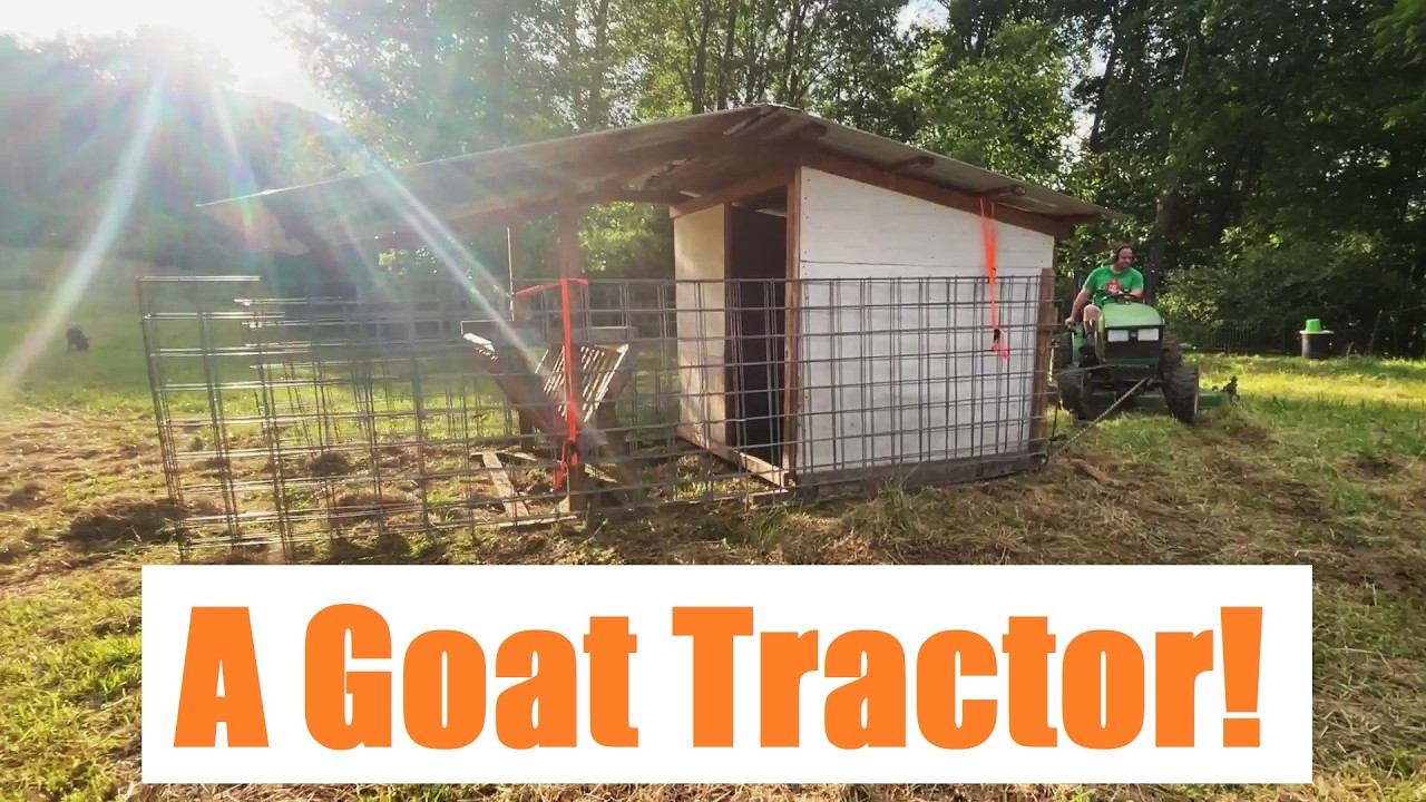 Our Goat Tractor! Moving The Goats Into The Woods! - YouTube