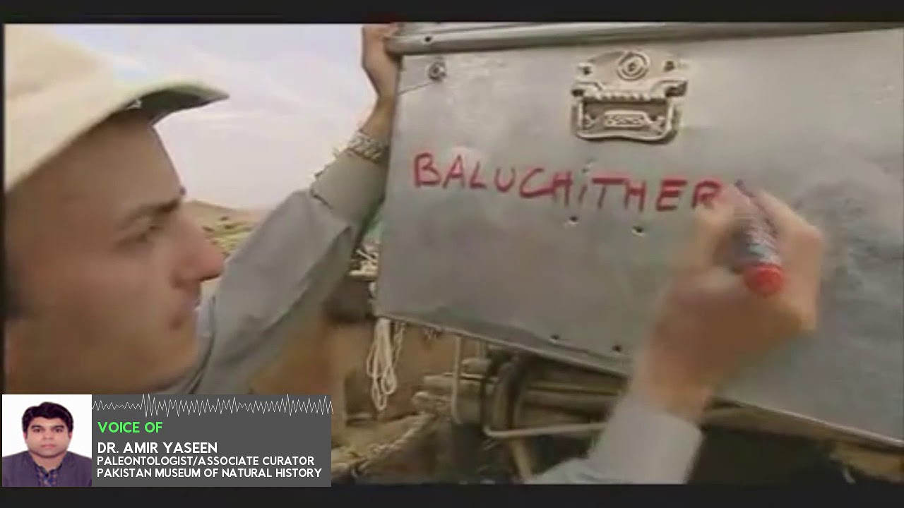 Baluchitherium- the Beast of Balochistan - YouTube