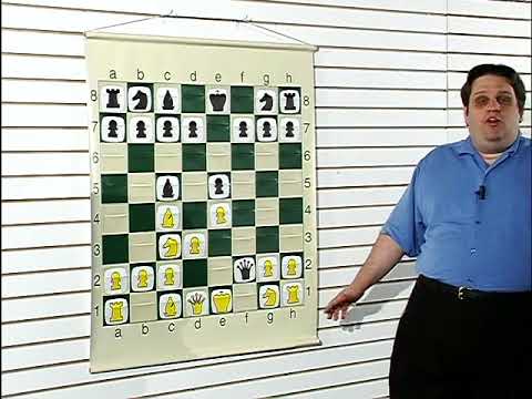 Chess with Ben Finegold Volume 1 - YouTube