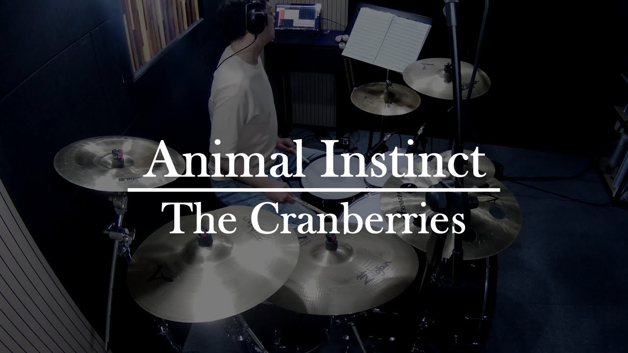 The Cranberries - Animal Instinct (Drum Cover) - YouTube