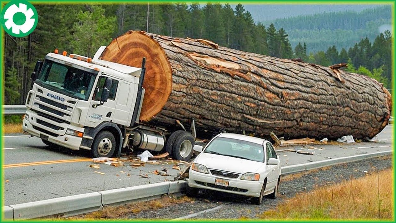 111 Extreme Dangerous Big Logging Wood Truck Driving Skill | Biggest ...