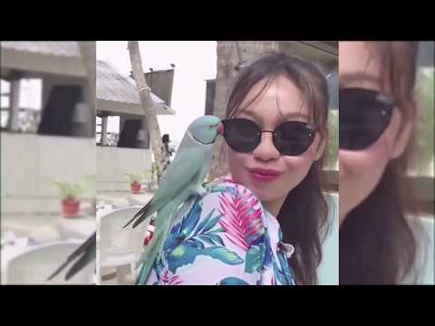 Komik Hayvan Videoları ÖZEL SERİ - 3(hayvanlar harika dostum mutlaka izlemelisinz) #nocontexttürkiye