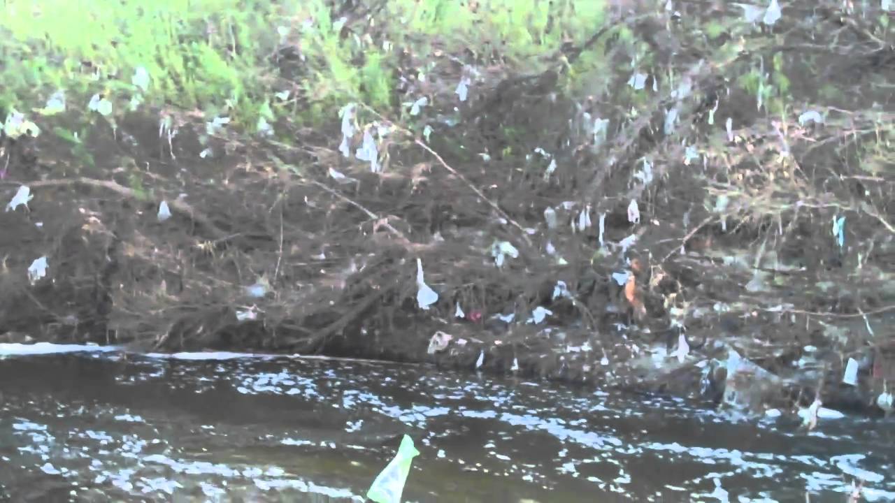 Fishing in the Los Angeles River - YouTube