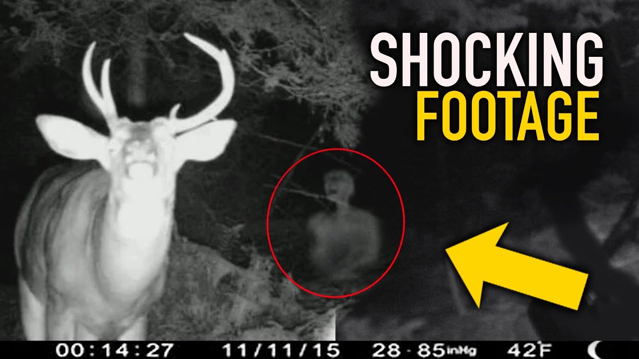 Terrifying Trail Cam Footages DISCOVERED On The Internet - YouTube