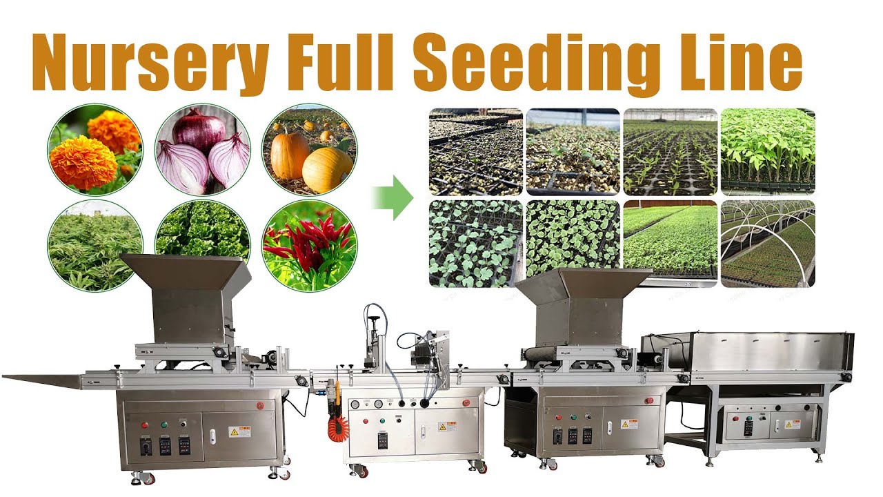 Nursery Full Seeding Line - Testing Nursery Seedling Machine for Herb ...
