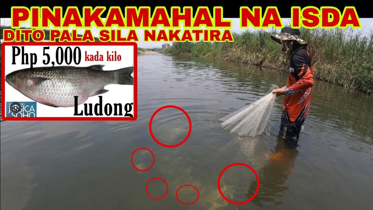 PINILIT NAMING HULIHIN ANG PINAKAMAHAL NA ISDANG LUDONG O PRESIDENT ...