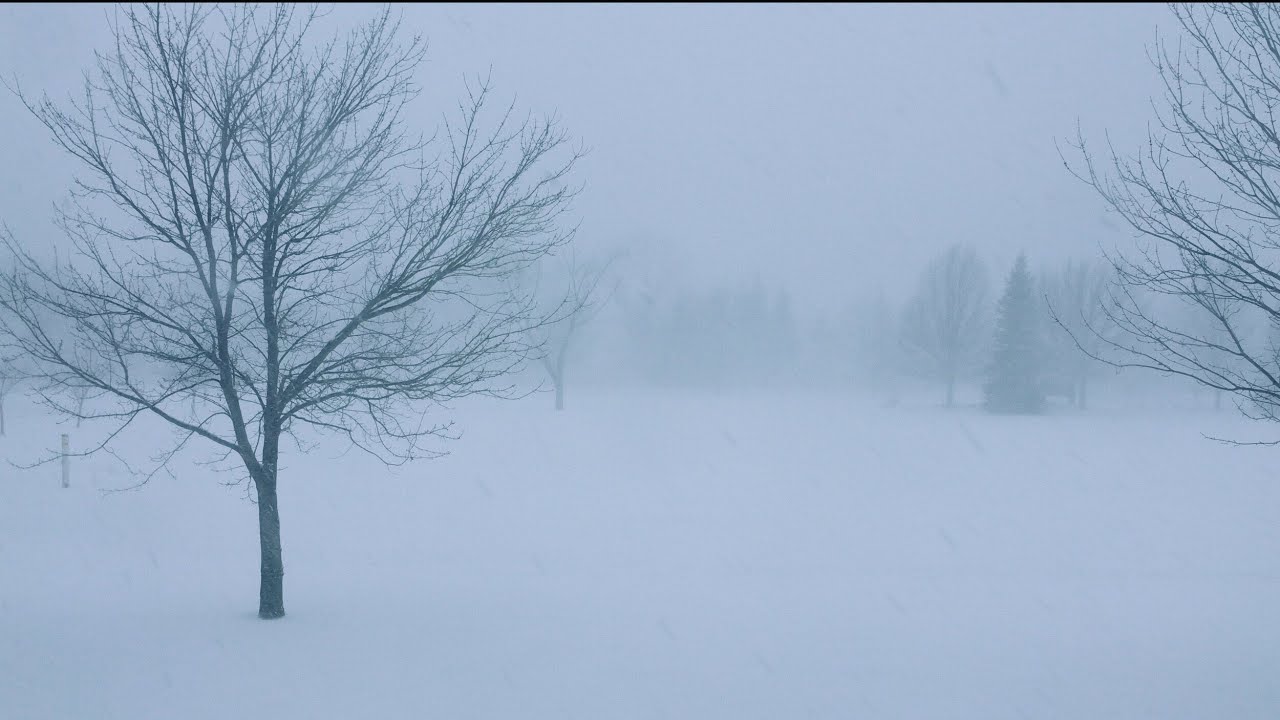 Emergency Alert System (VHS): Something in the Storm (SHORT) - YouTube