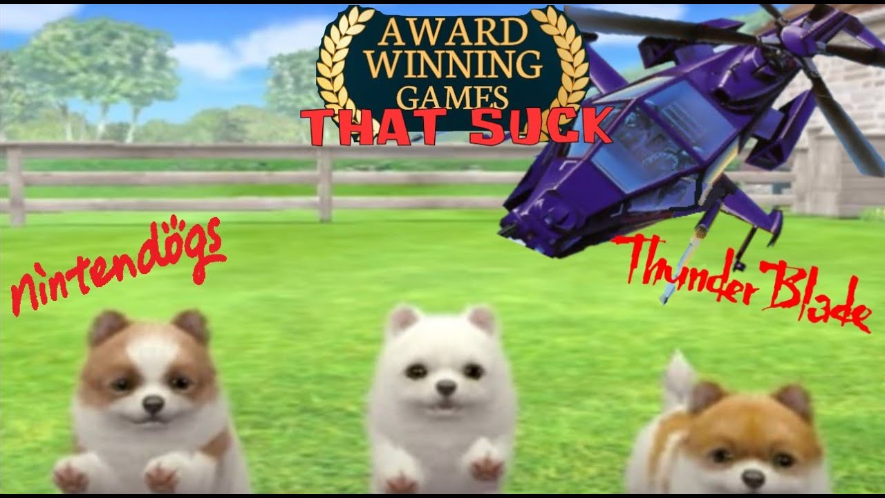 Award Winning Games That SUCK - Thunder Blade (SMS) and Nintendogs (DS ...