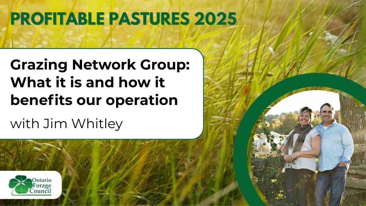Grazing Network Group: What it is and how it benefits our operation ...