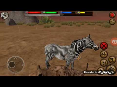 Ultimate Zebra Simulator 🐾😃🔜 - YouTube