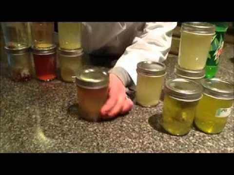Results of Mountain Dew Dissolves Mice experiment Week 3 - YouTube