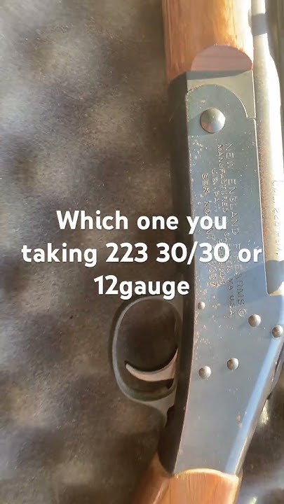 #gunlifestyle#ghghussle# blackrambo#marlin336# New England 223 hunting rifle#12gauge - YouTube