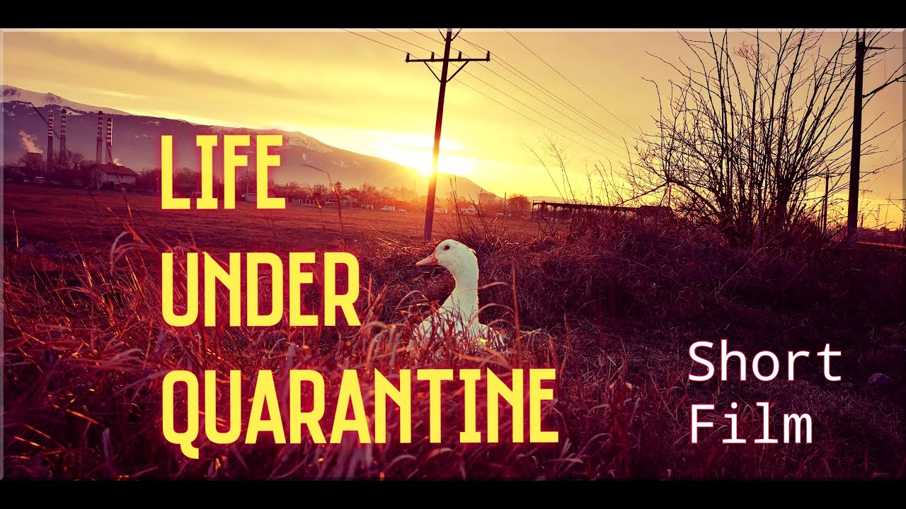 Life Under Quarantine | Short Film (TRAILER) - YouTube