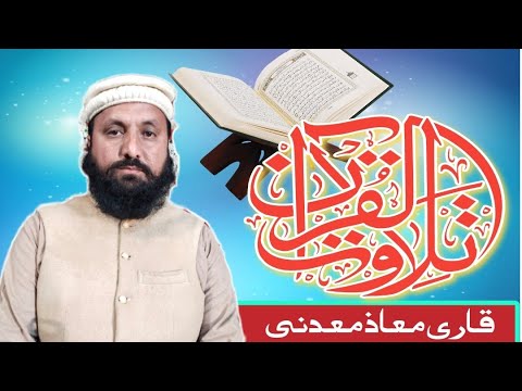 Tilawat e quaan majeed qari muhammad maaz madni - YouTube