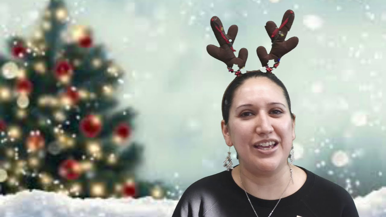 If You Ever Want to Bring a Pirate to Meet Santa, Don't! with Miss Liz ...