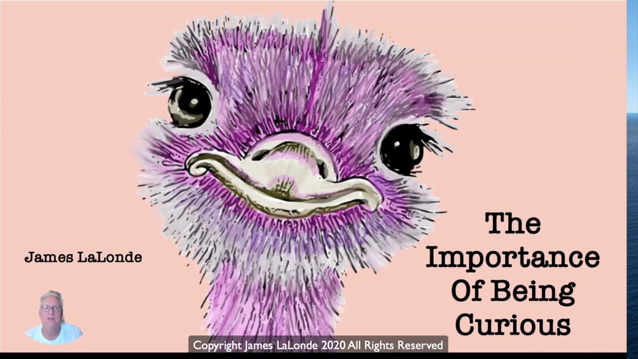 The Importance of Being Curious - YouTube
