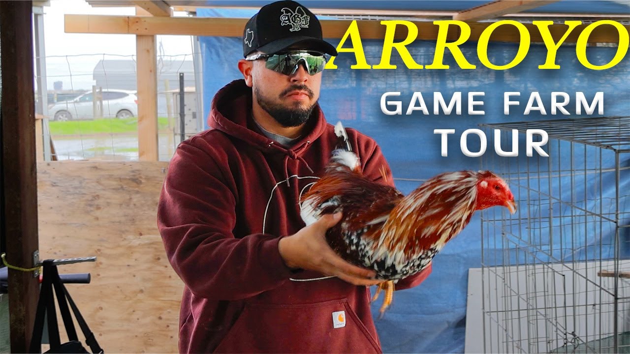 FARM VISIT: Arroyo Game Farm in California USA - YouTube
