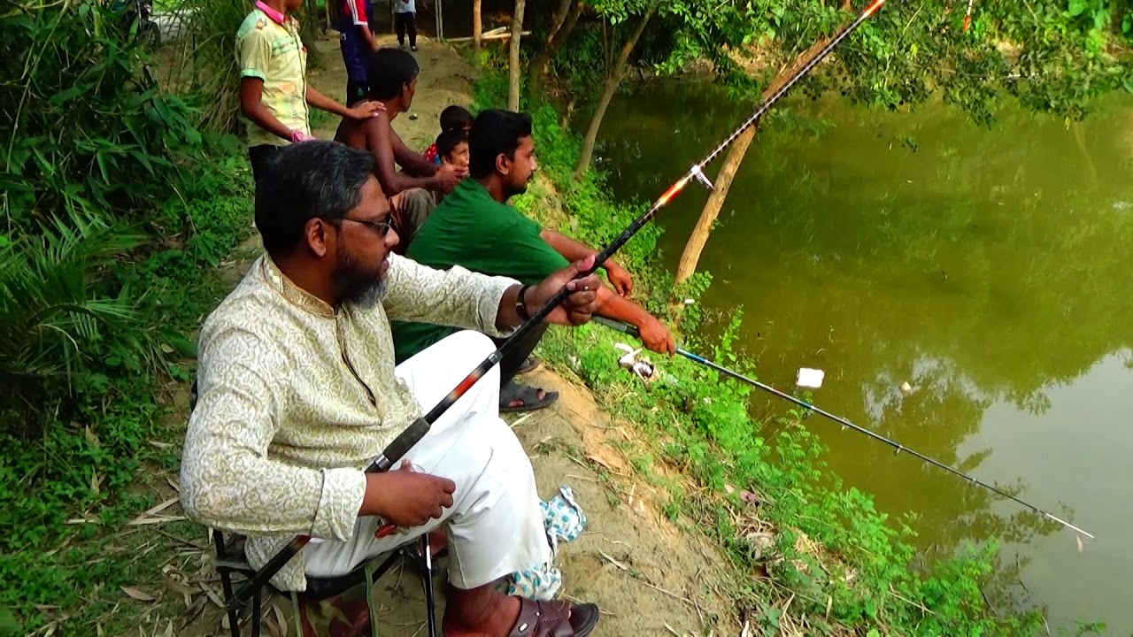 Fish Catching Videos By Fishing Rod In Village Fishing Pond - YouTube
