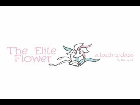elite Flowers institucional - YouTube