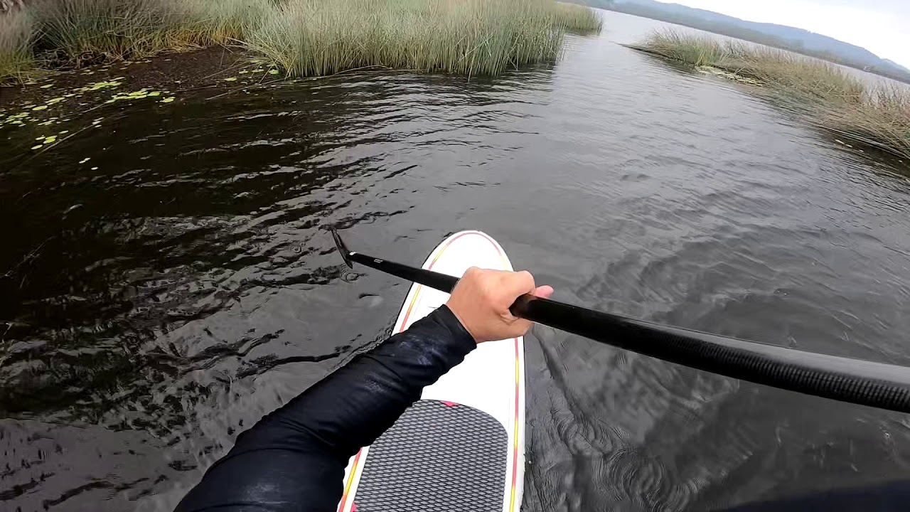 Standup paddle- Ewen Maddock Dam - YouTube