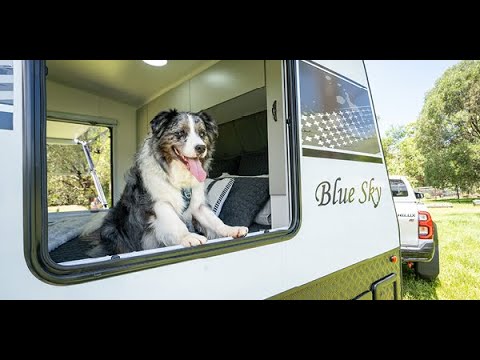 RSPCA Lottery No 84 | Win this $169,000 Car & Caravan First Prize ...