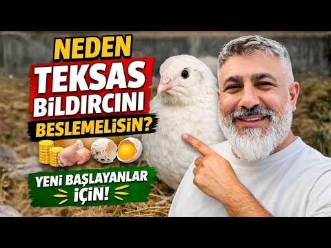 NEDEN TEKSAS BILDIRCINI BESLEMELİSİN?