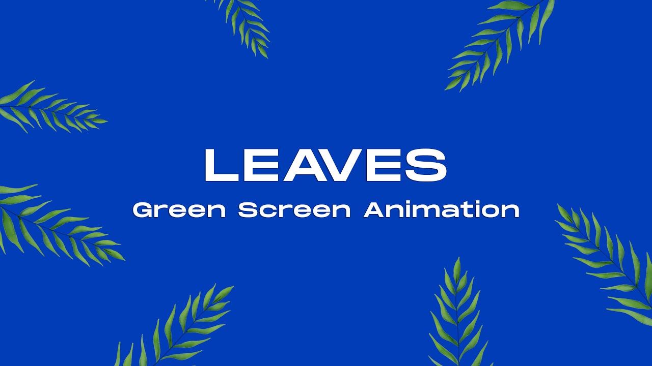 Realistic Leaf Animation in 4K! - YouTube