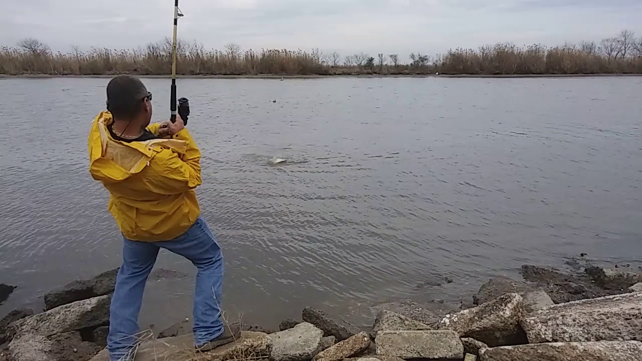Catching Louisiana Red Fish Dularge LA - YouTube