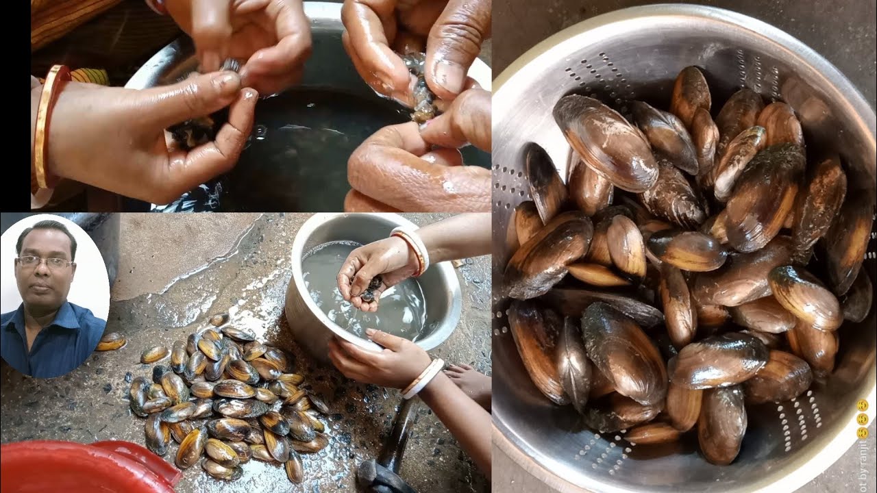 snail cleaning cooking recipe/snail and oyester cooking recipe #snail # ...