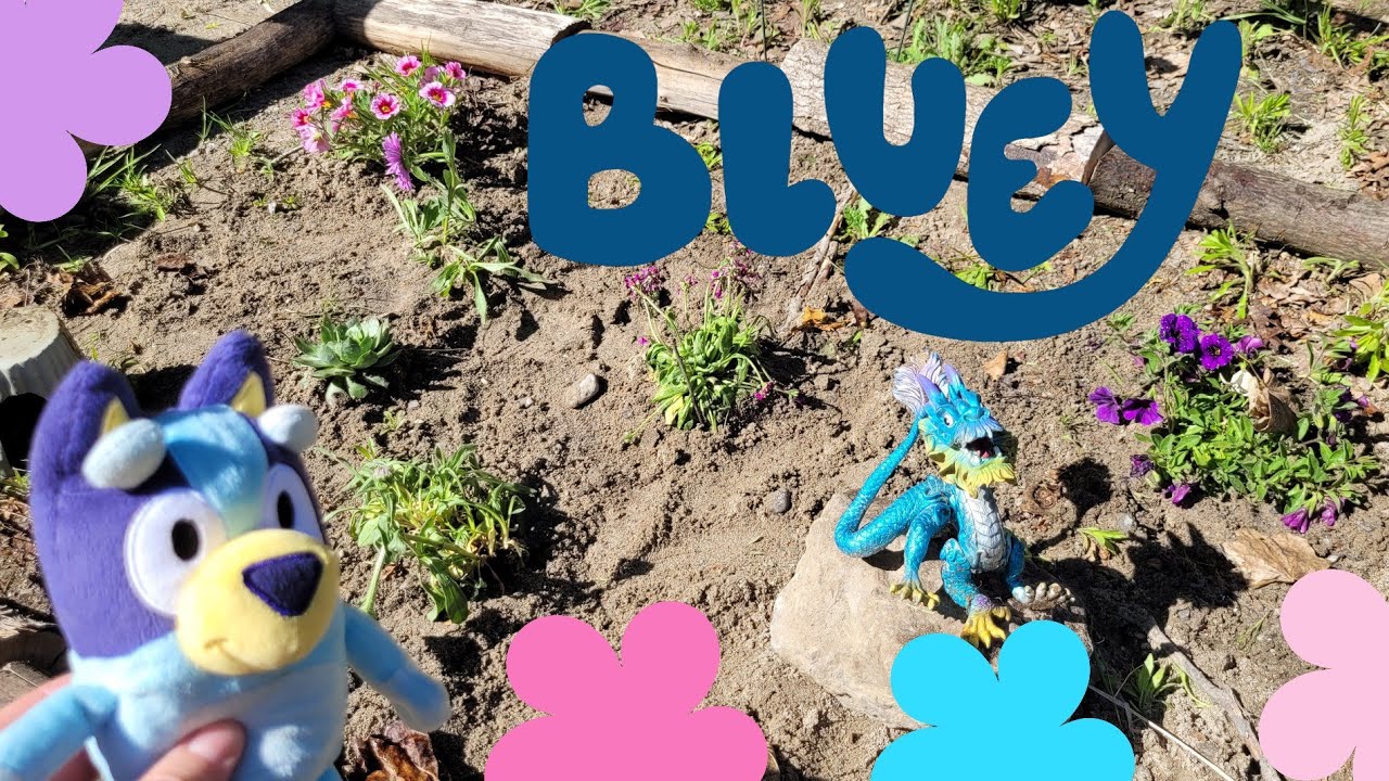 Bluey makes a garden outside! - YouTube
