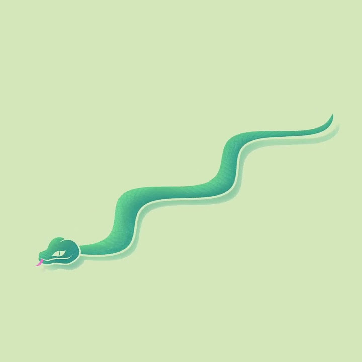 Snake Animation Loop - made in After Effects - YouTube