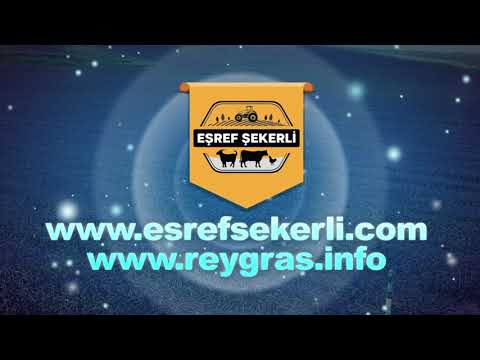 Reygras hakkında bir çok bilgiye ulaşabileceğiniz www.reygras.info web sitemizi ziyaret ettiniz mi?