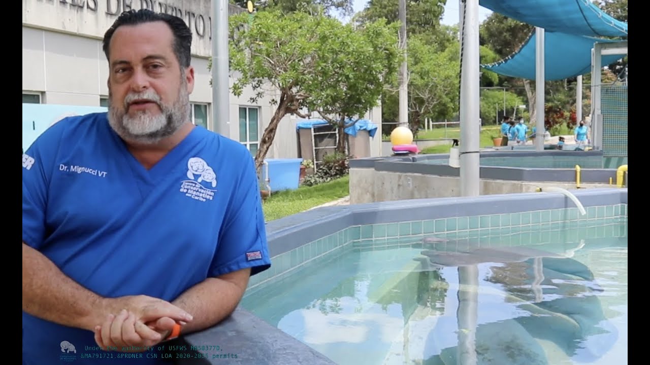 Dr Antonio Mignucci Giannoni conversa sobre el Centro de Conservación ...