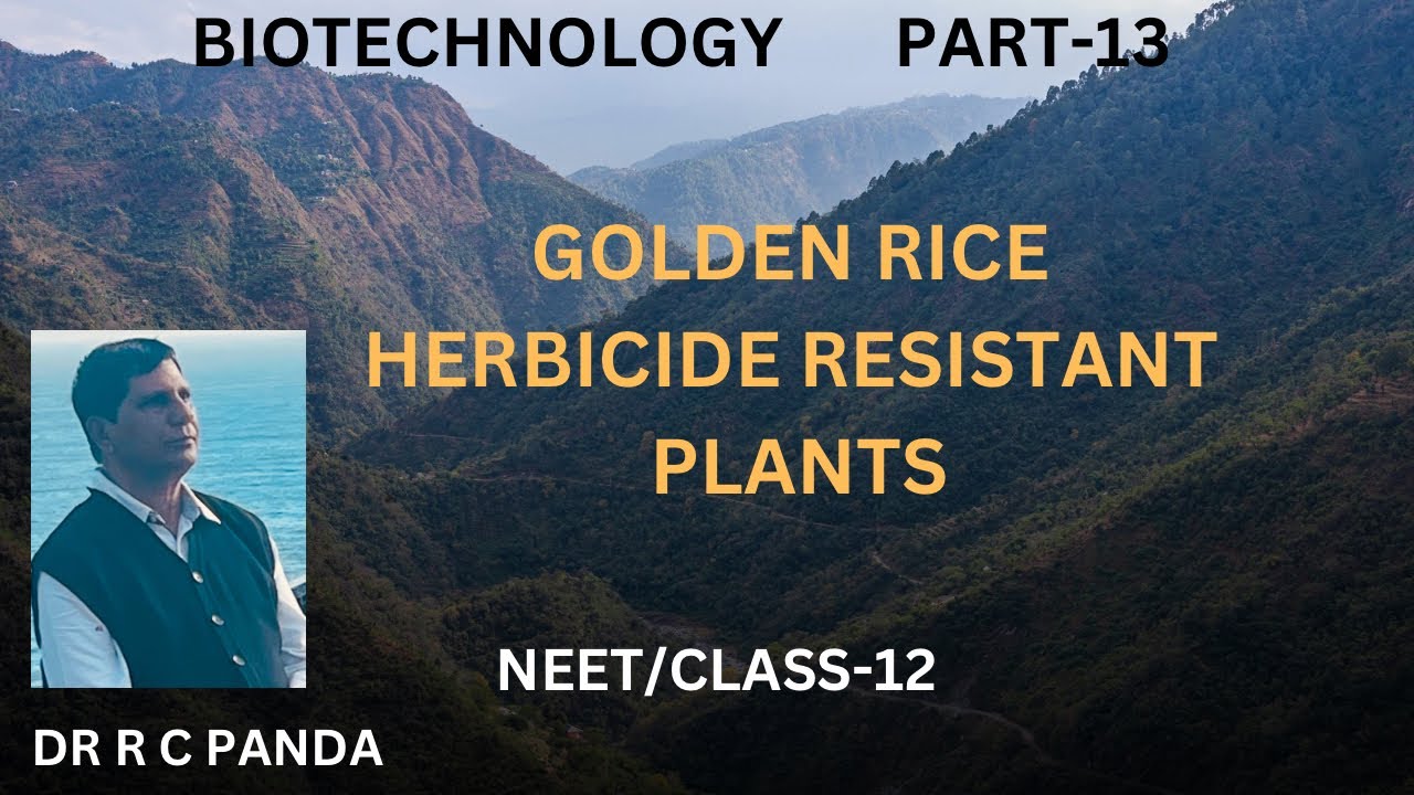 GOLDEN RICE & HERBICIDE RESISTANT PLANTS | BIOTECHNOLOGY, PART--13 ...