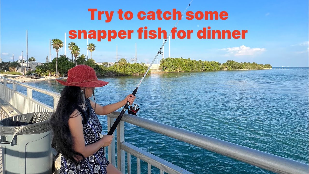 Red snapper fish for Dinner - YouTube