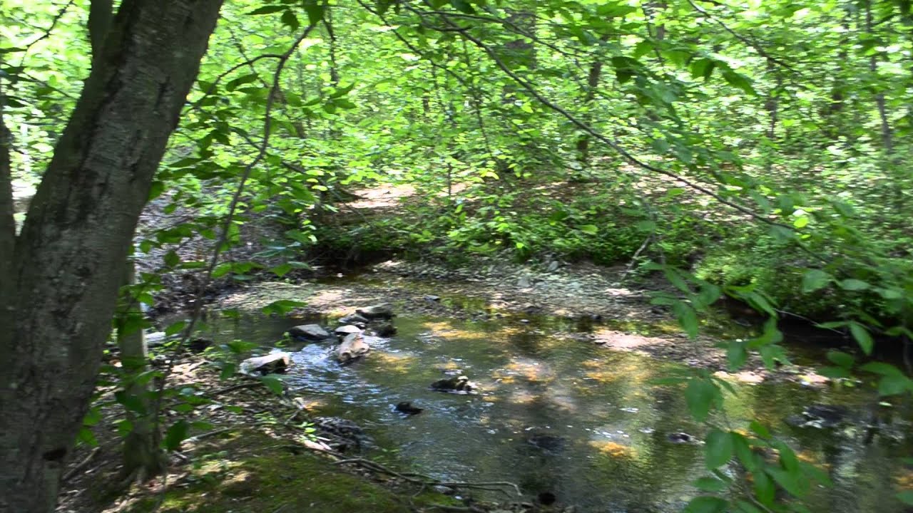 Ireland Brook - YouTube