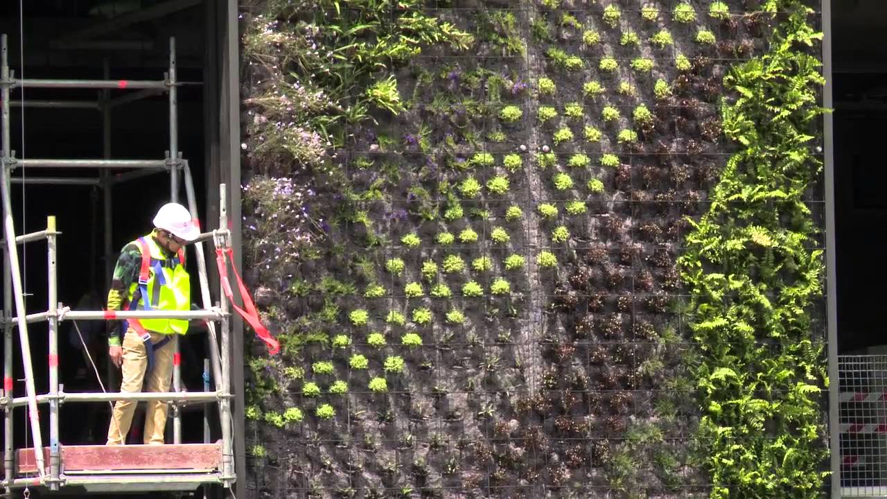Patrick Blanc talks about vertical gardens at One Central Park November ...