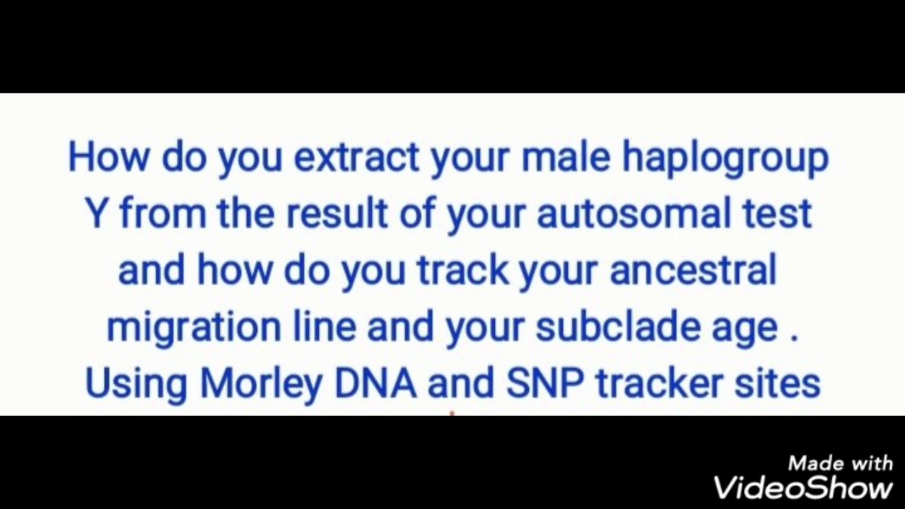 How to use Morley DNA to extract your Y haplogroup and SNP tracker to ...