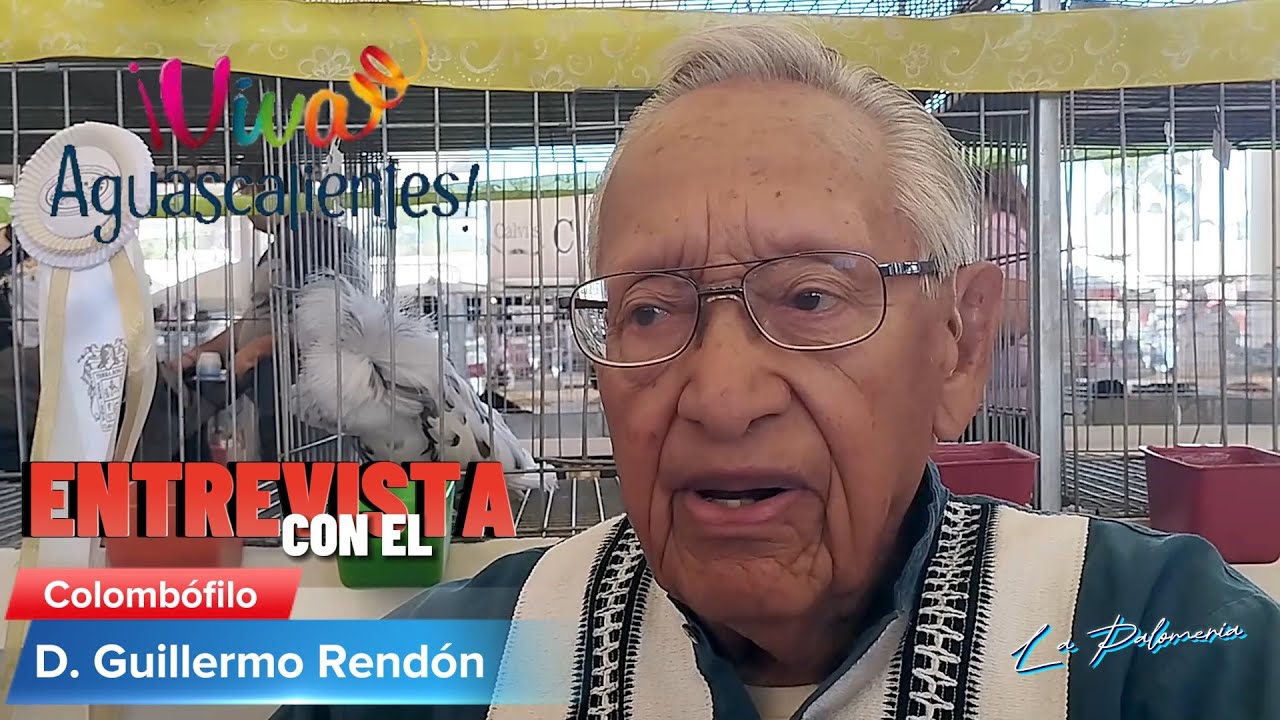 Palomas Mensajeras | Entrevista a Guillermo Rendón - YouTube
