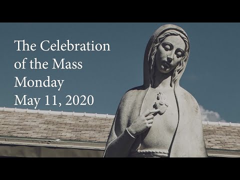 St. Andrew Apostle Mass, Monday, May 11, 2020 with Father Dan Leary ...