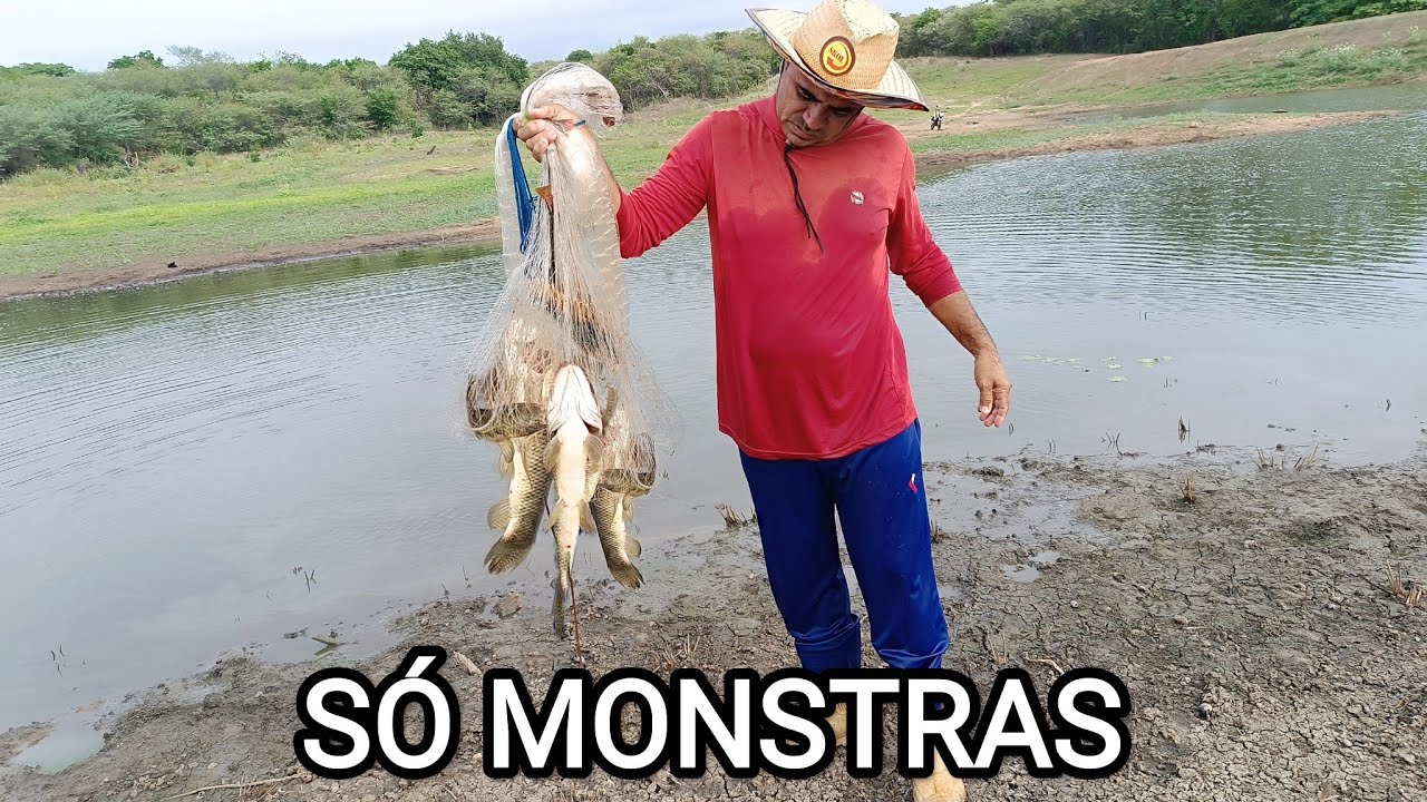 GRANDE PESCARIA QUE DEU GOSTO DE PESCAR DE ENCHER O BALDE - YouTube