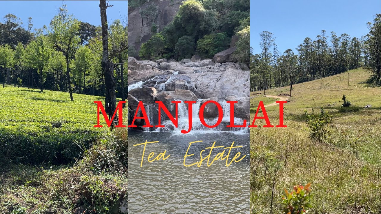 Manjolai Tea Estate #manjolai #manimuthardam #bombayburhmateacompany ...