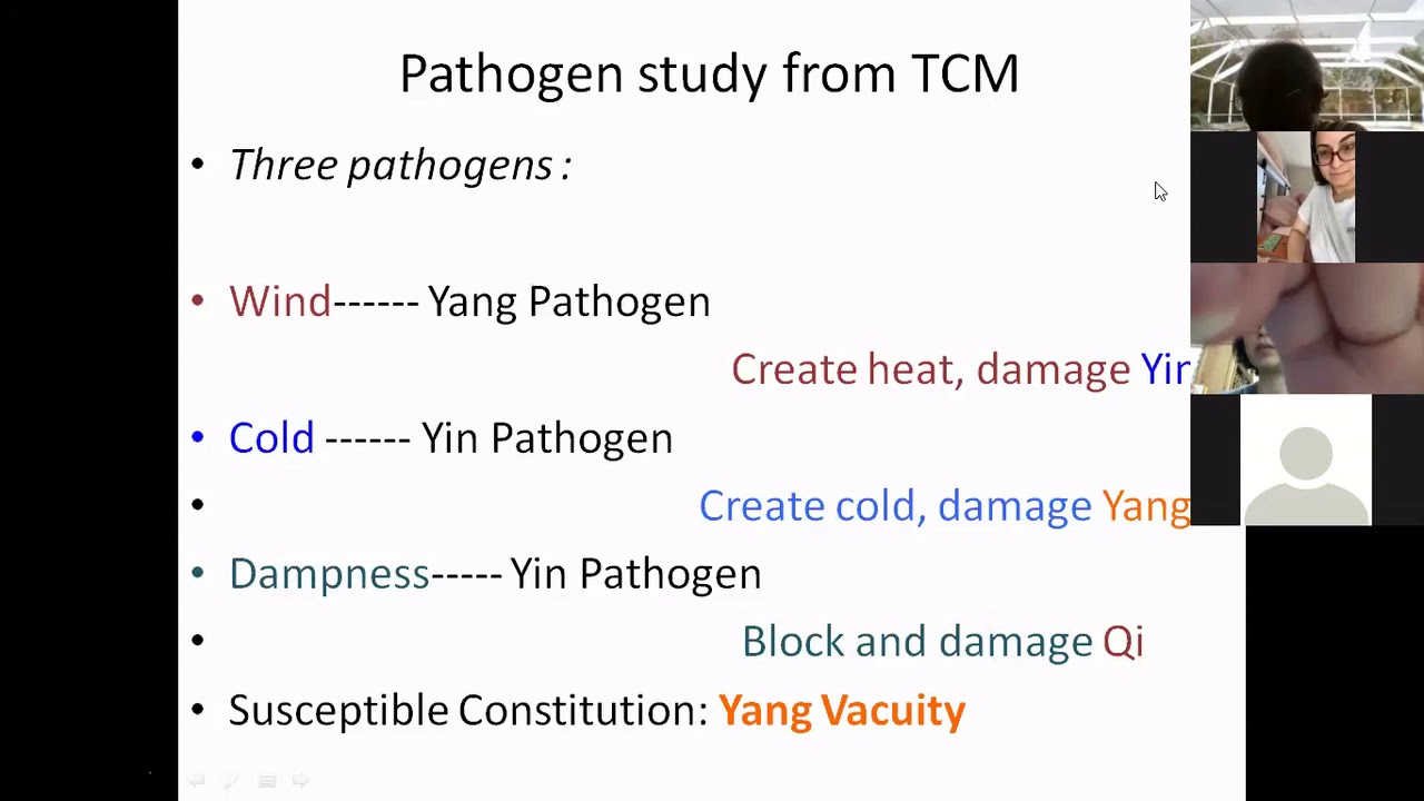 Studying COVID-19 with a Perspective of the TCM (Herbal Formulas) - YouTube
