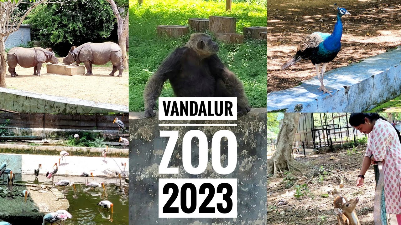 Arignar Anna Zoological Park | Vandalur Zoo | அறிஞர் அண்ணா விலங்கியல் ...